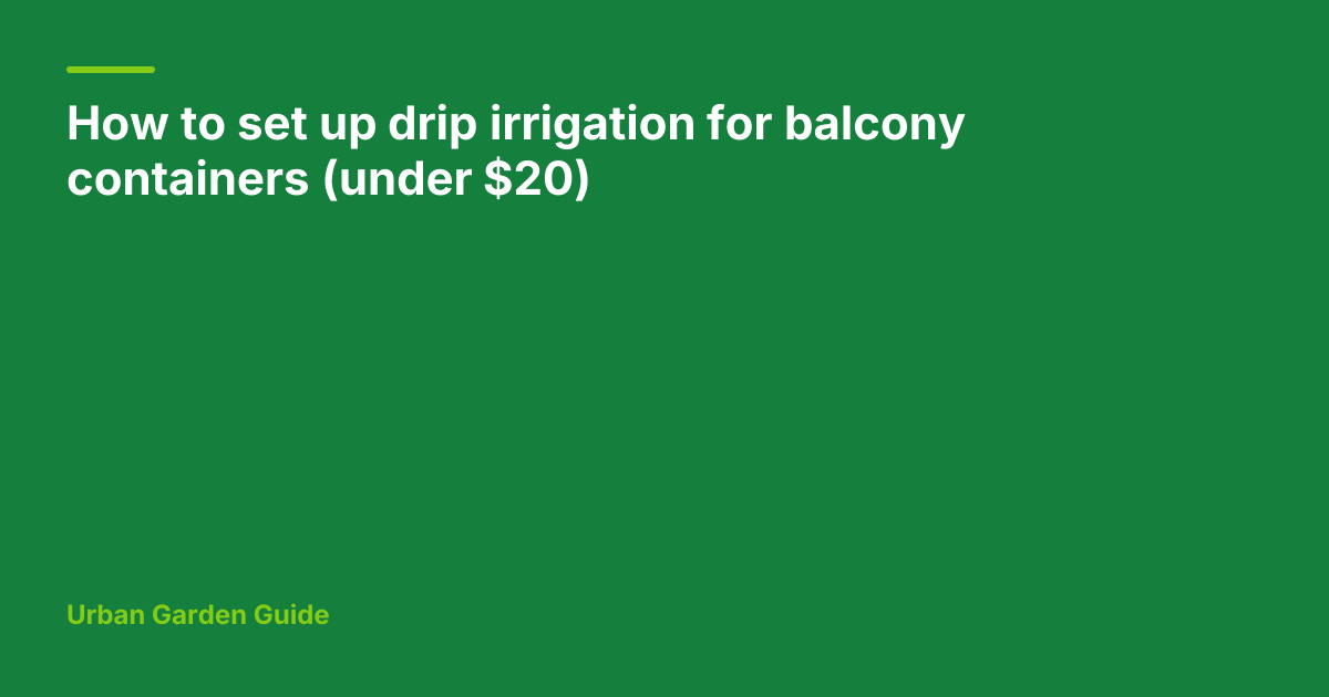 How to set up drip irrigation for balcony containers (under $20 ...